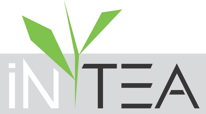 iN-TEA